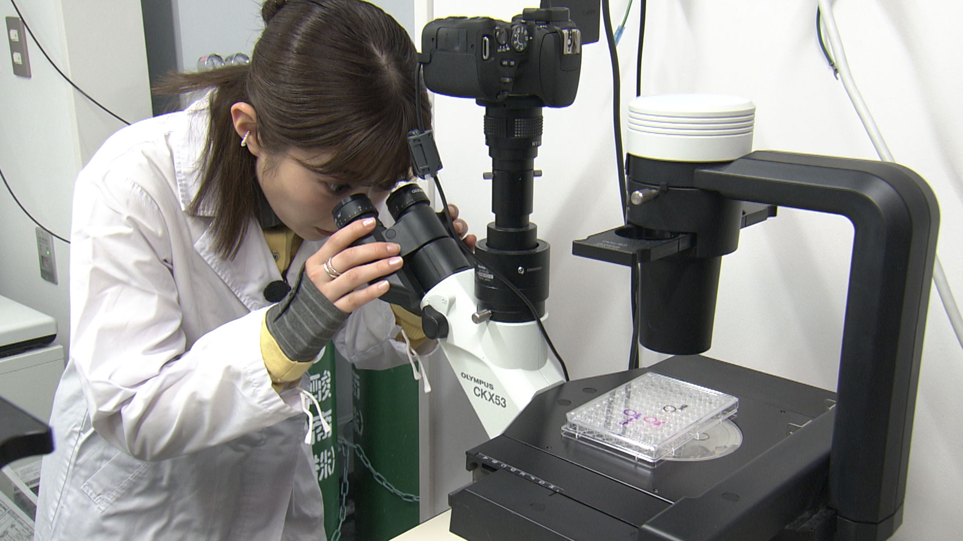 ノーベル賞受賞！坂口志文さん・北川 進さんを大特集！「サイエンスZERO」「クローズアップ現代」 - NHK