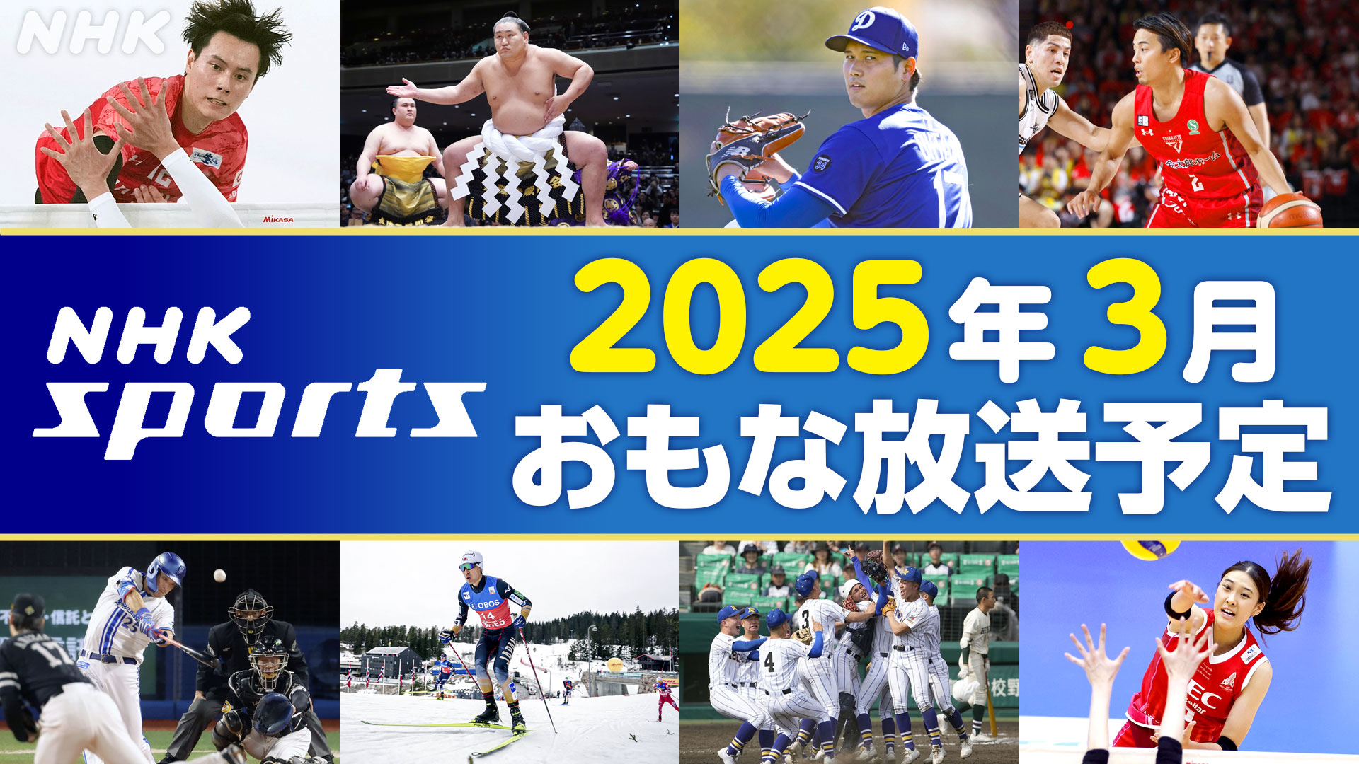NHKスポーツ中継の予定をお知らせします - NHK
